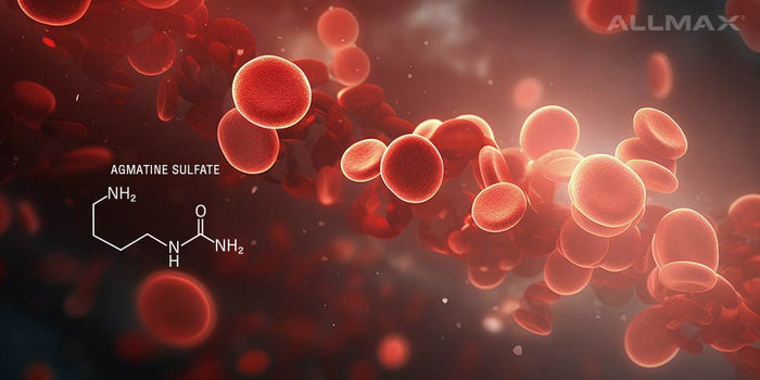 Agmatine Sulfate Benefits, Uses & Side Effects | Creatine vs Pre Worko - Allmax Nutrition