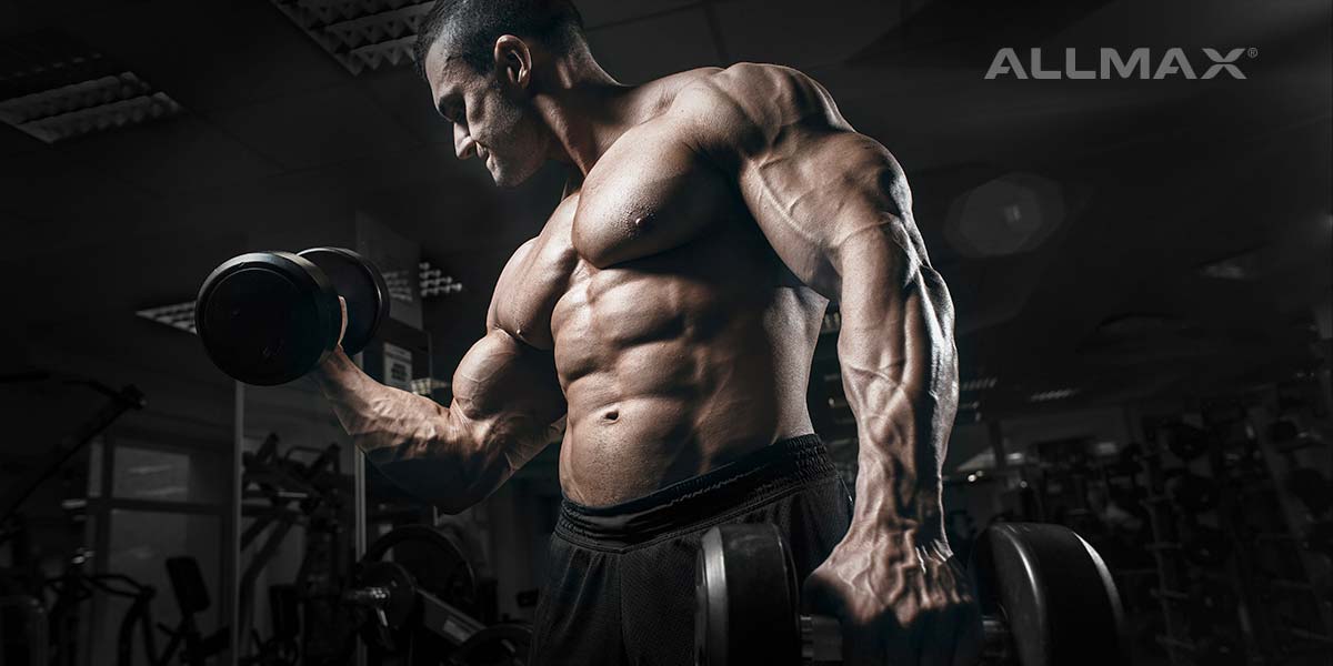 Hypertrophy Training: Boost Muscle Growth with Creatine, Protein, and ...